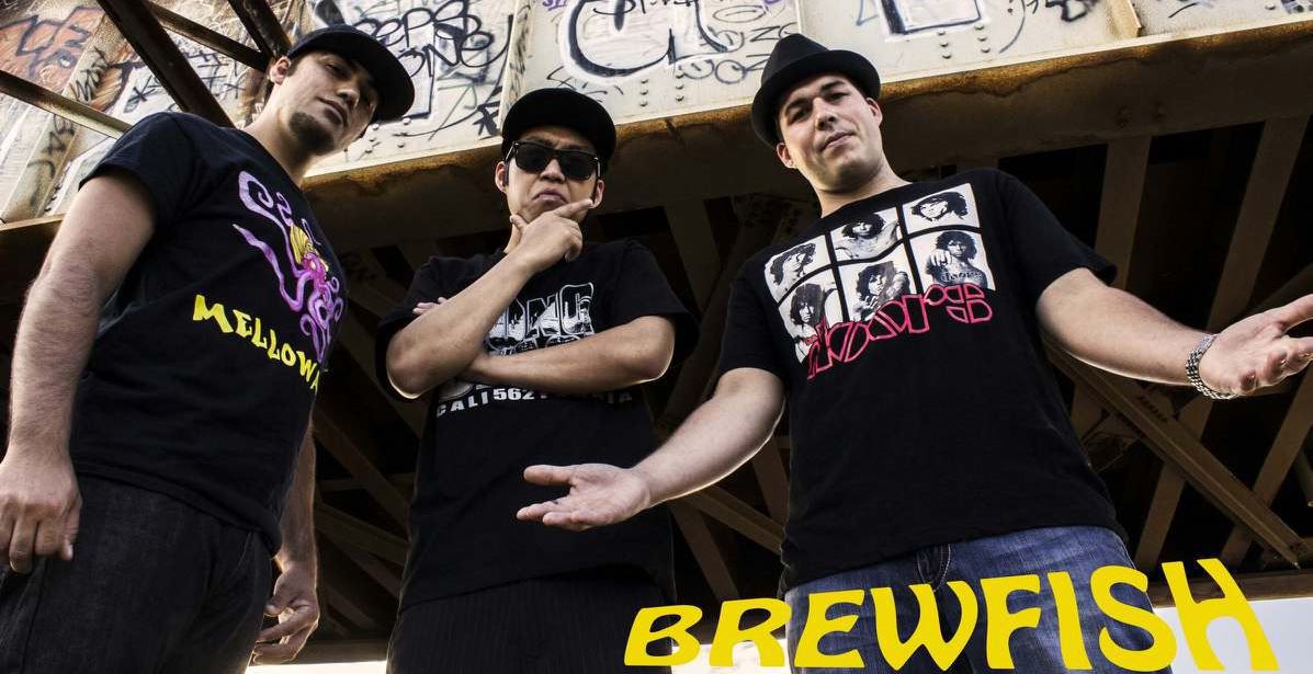 Brewfish plans Ogden reggae takeover | News, Sports, Jobs - Standard ...